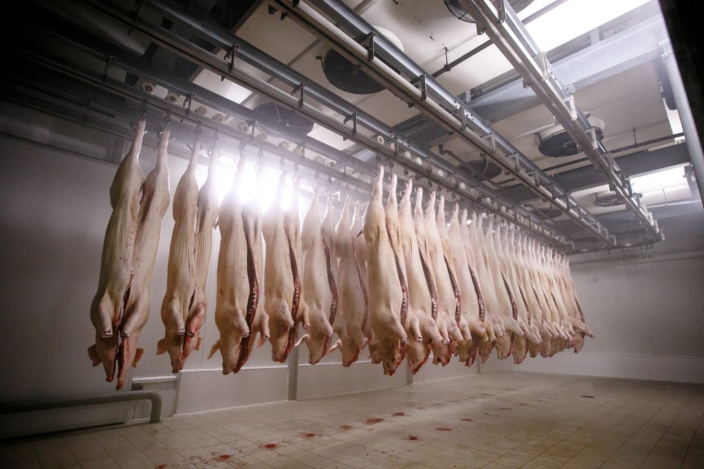 Abator – Macrosuin